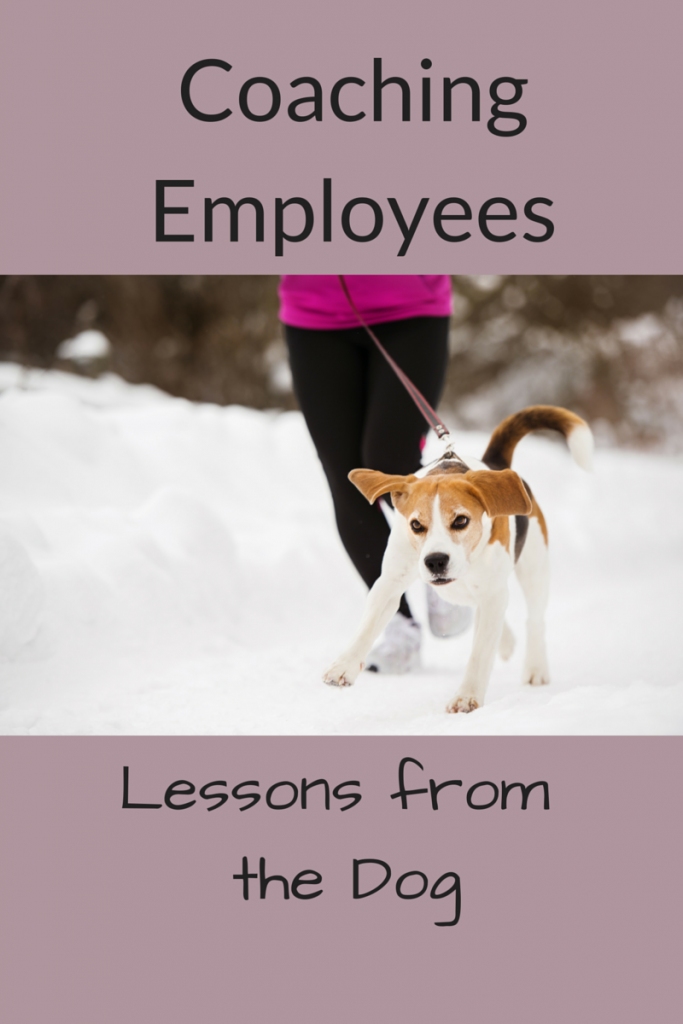 Coaching Employees: Lessons From the Dog - Fast Mirror - 360-Degree ...